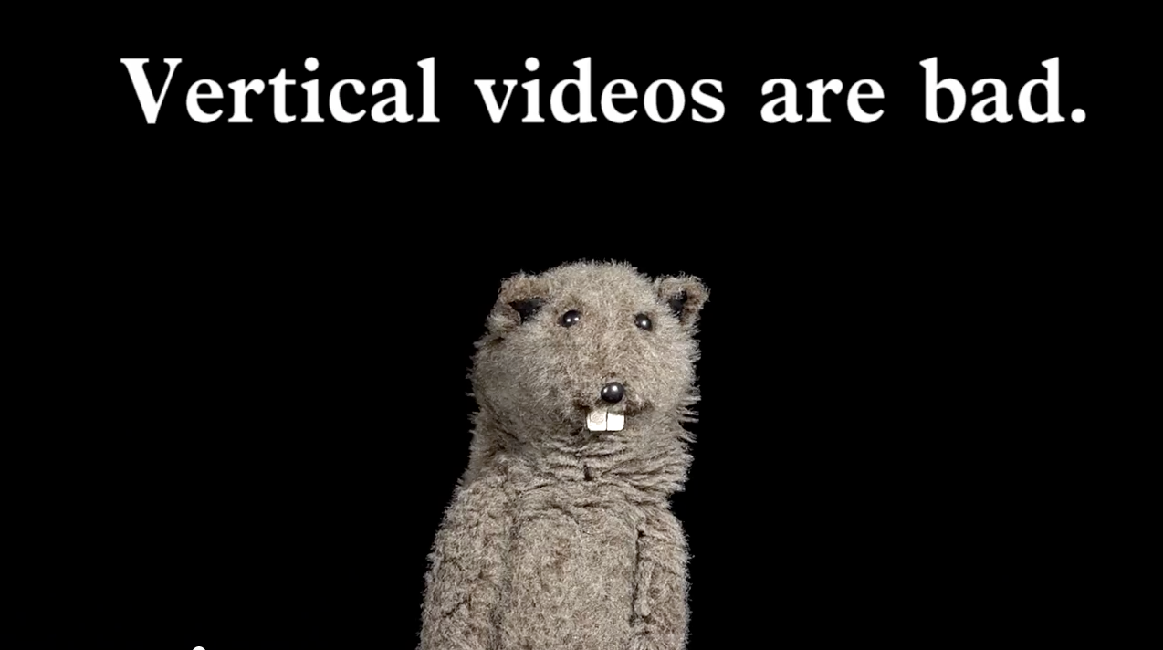 Just say NO to vertical videos | Nino Film Blog